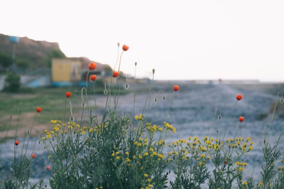 Exploring National Parks: Uncovering the Wonders of Nature – Time Bulletins